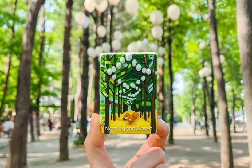 Seoul: Nami+Hanbok+Waterfall(+RailBike or Strawberry)Tour - Who Will Enjoy This Tour?