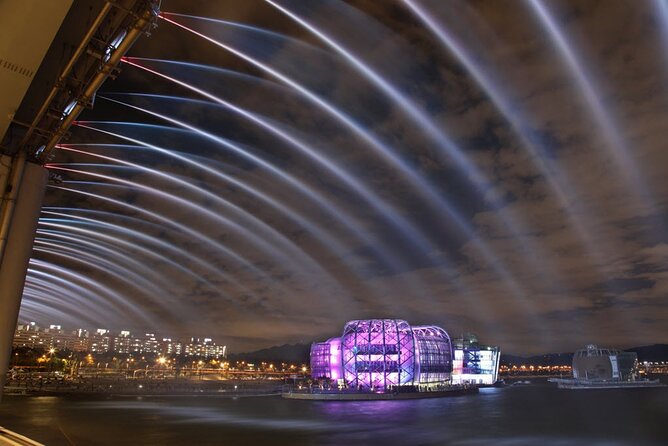 Seoul Night Tour with Han River Cruise and Gyeongbokgung Palace - Introduction: Discover Seoul After Dark