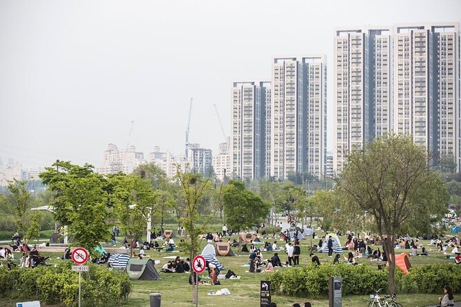 Seoul Night Tour with Han River Cruise and Gyeongbokgung Palace - Practical Details and Tips