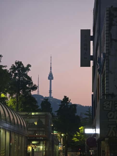 Seoul: Night Views Tour with Guide and Transfers - Who Will Love This Tour?