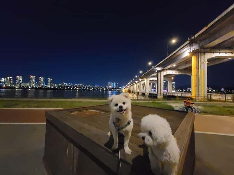 Seoul: Night Views Tour with Guide and Transfers - Final Thoughts: Is This Tour Right for You?