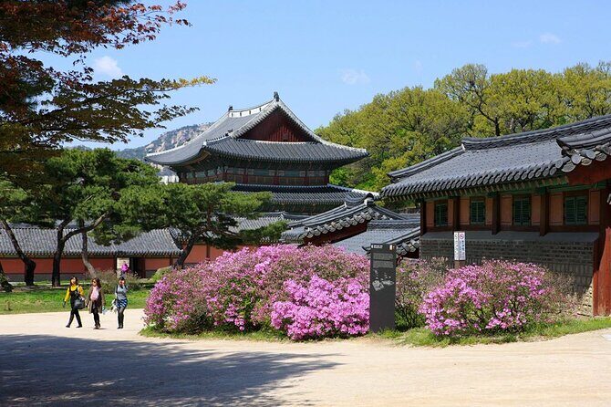Seoul Nightlife Tours : K-Drama, K-Pop, Gwangjang Market - Final Thoughts: Is This Tour Right for You?