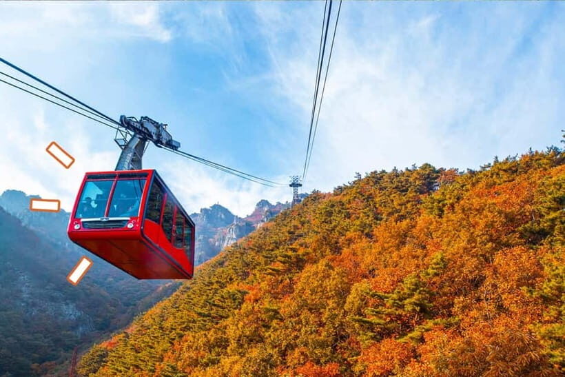 Seoul: Odaesan or Daedunsan Park Autumn Foliage Day Tour - An Overview of Your Autumn Adventure