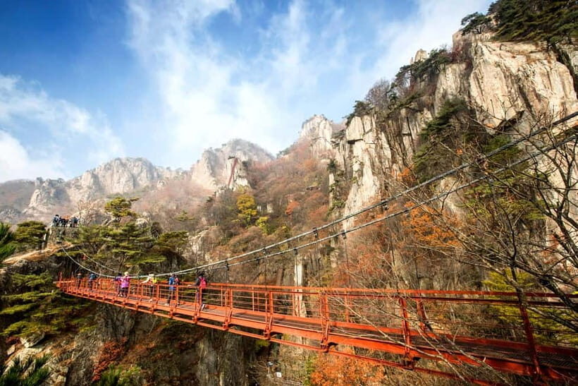 Seoul: Odaesan or Daedunsan Park Autumn Foliage Day Tour - Practicalities and Value