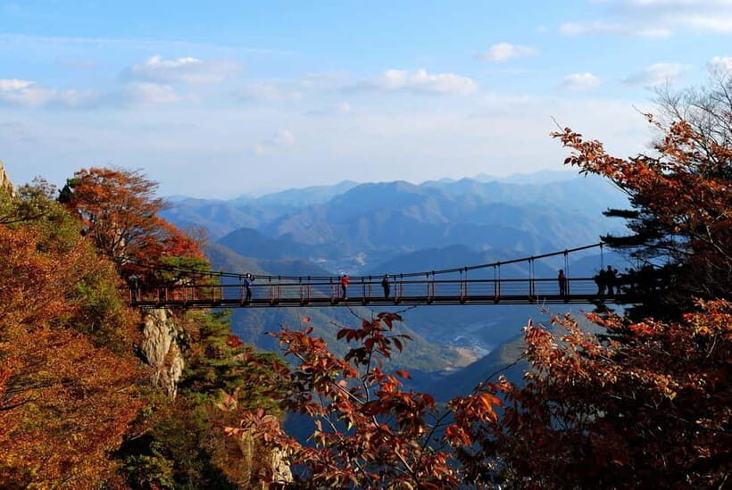 Seoul: Odaesan or Daedunsan Park Autumn Foliage Day Tour - What We Love About This Tour