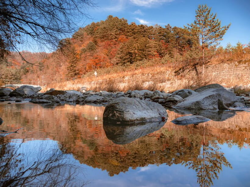 Seoul: Odaesan or Daedunsan Park Autumn Foliage Day Tour - Who Should Consider This Tour?