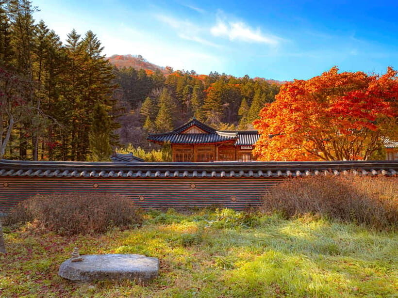 Seoul: Odaesan or Daedunsan Park Autumn Foliage Day Tour - Final Thoughts