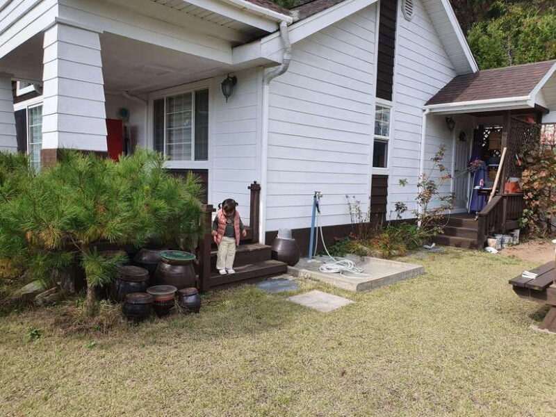 Seoul : One day Customizable Private Driver Car Tour /JP - Authentic Experiences and Positive Feedback