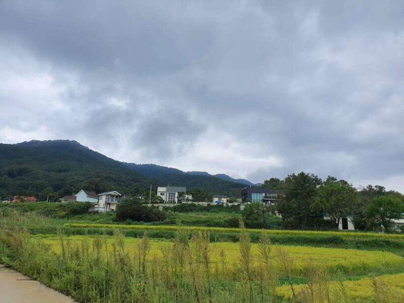 Seoul : One day Customizable Private Driver Car Tour /JP - Who Is This Tour Best For?