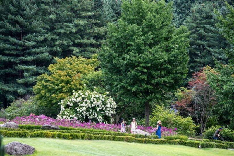 Seoul: Pocheon Art Valley and Fruit Picking Day Tour - FAQ