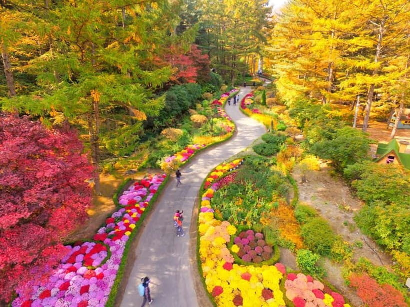 Seoul: Pocheon Art Valley, Garden and Fruit Picking Day Tour - The Value of the Experience