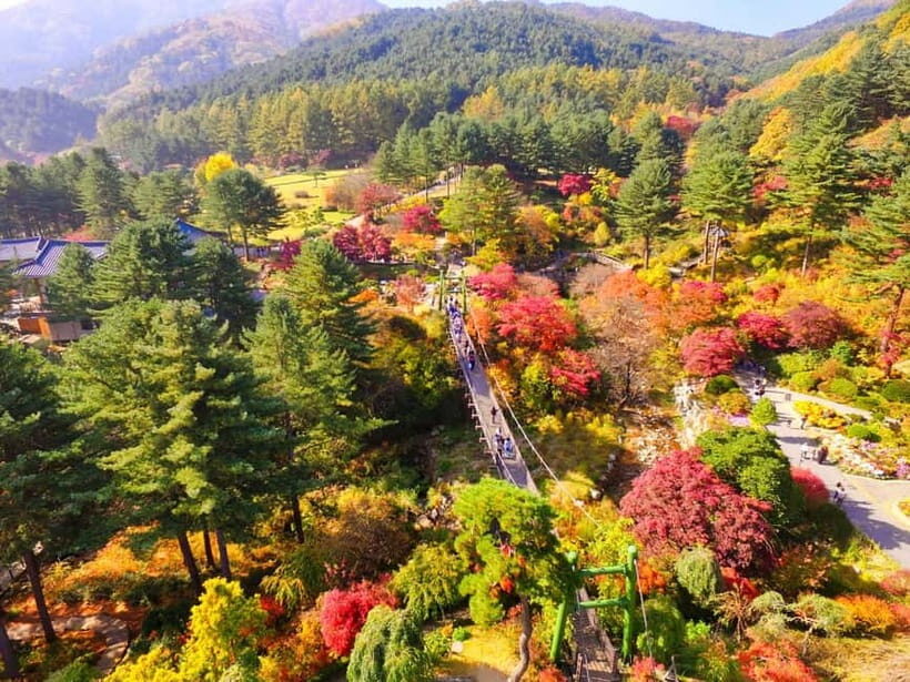 Seoul: Pocheon Art Valley, Garden and Fruit Picking Day Tour - Who Will Love This Tour?