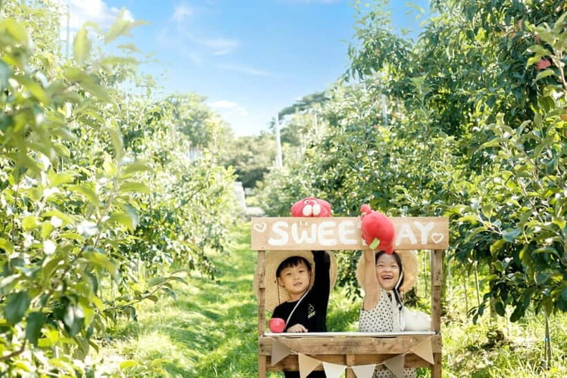 Seoul: Pocheon Art Valley, Garden and Fruit Picking Day Tour - FAQ