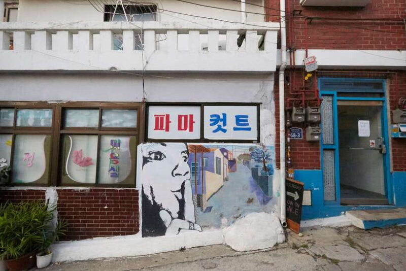 Seoul: Private Car Charter Tour with Professional Guide - How the Experience Feels on the Ground