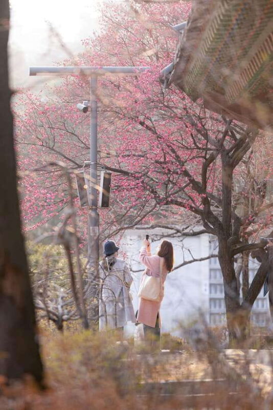 Seoul: Private chartered vehicle Carnival van City Tour - The Sum Up