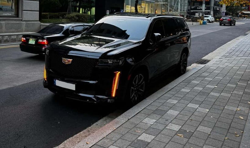 Seoul: Private Luxury Vehicle Tour - English/Spanish guiding - Practicalities and Considerations