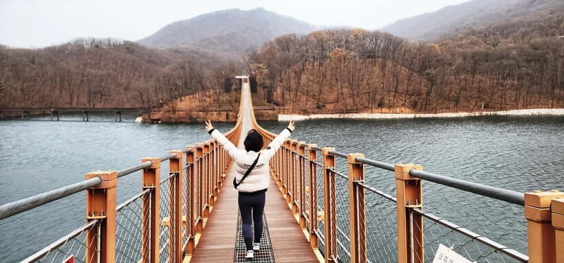 Seoul: Private Taxi Tour Car Charter - Nami Alpaca Seorak - The Sum Up