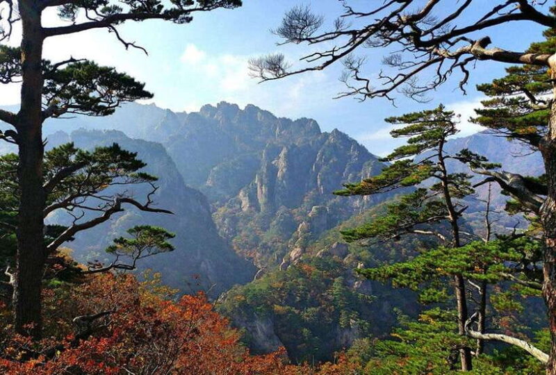 Seoul: Private Taxi Tour Car Charter - Nami Alpaca Seorak - Who Will Love This Tour?