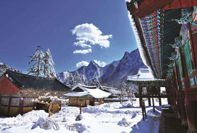 Seoul: Private Taxi Tour Car Charter - Nami Alpaca Seorak - FAQ