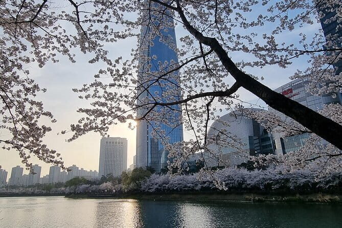 Seoul Private Tour Influencer for a Day - What You Can Expect: An Hour-by-Hour Breakdown