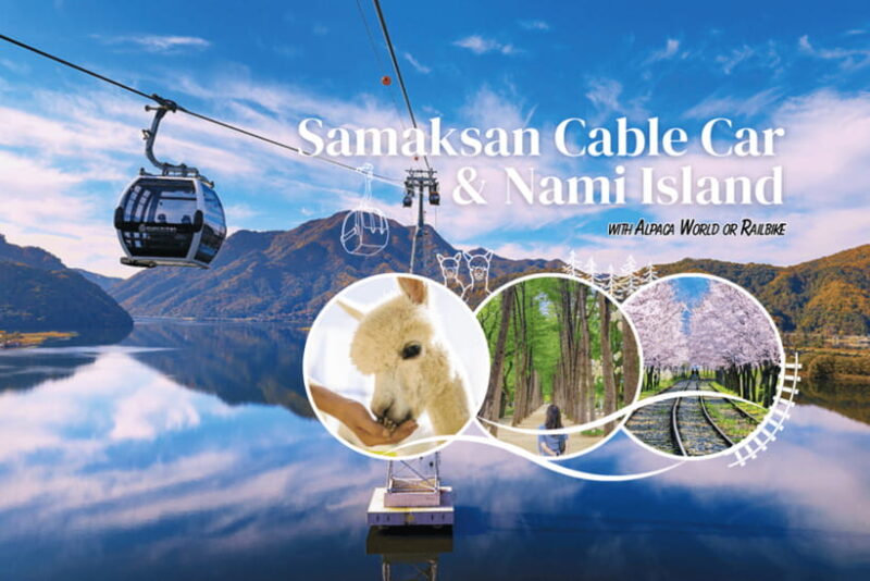 Seoul: Samaksan Cable Car & Nami with Alpaca World/Railbike - What Travelers Can Expect: Pros and Cons