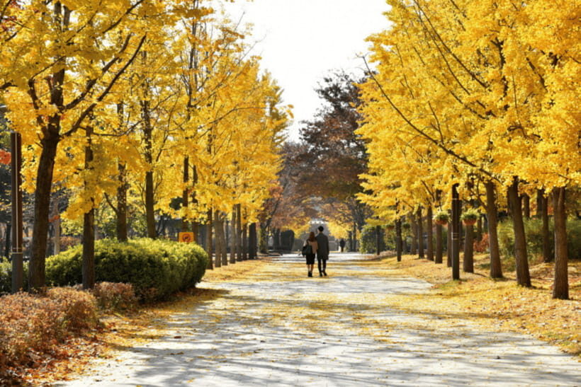 Seoul: Seongsu-dong K-Pop Culture Walking Tour - Who Would Enjoy This Tour?
