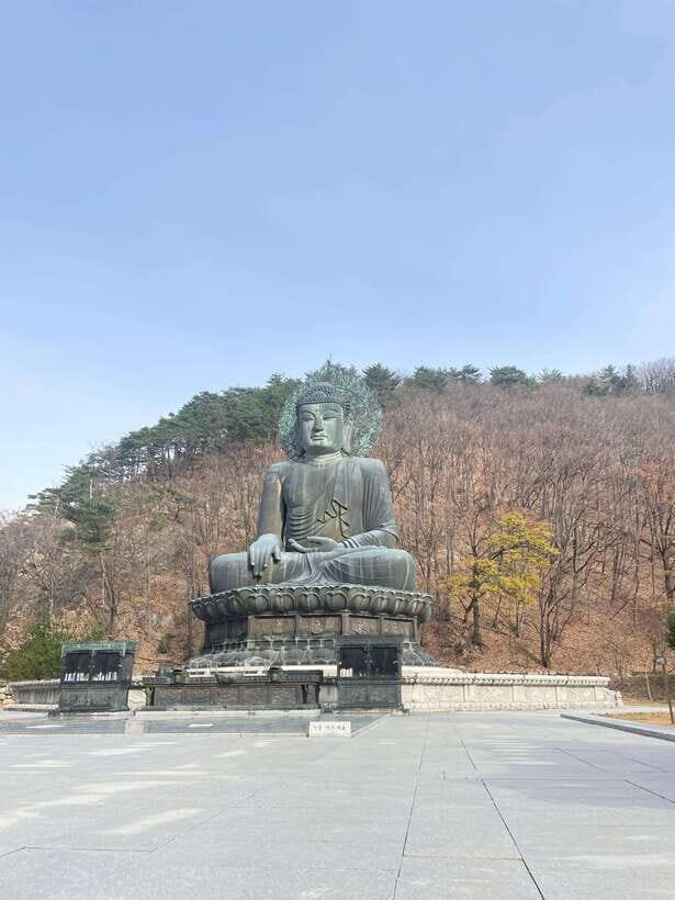 Seoul: Seorak Mountain, East DMZ, and Sokcho Tour - Key Points