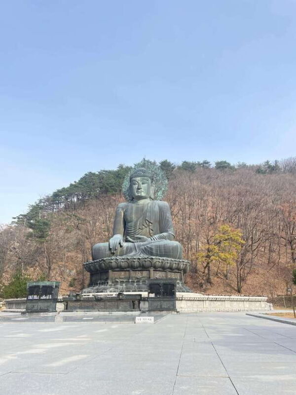 Seoul: Seorak Mountain, East DMZ, and Sokcho Tour - Key Points