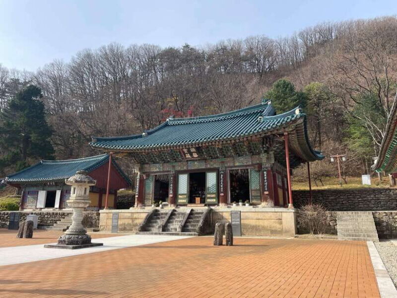 Seoul: Seorak Mountain, East DMZ, and Sokcho Tour - Authentic Experiences and Practical Details