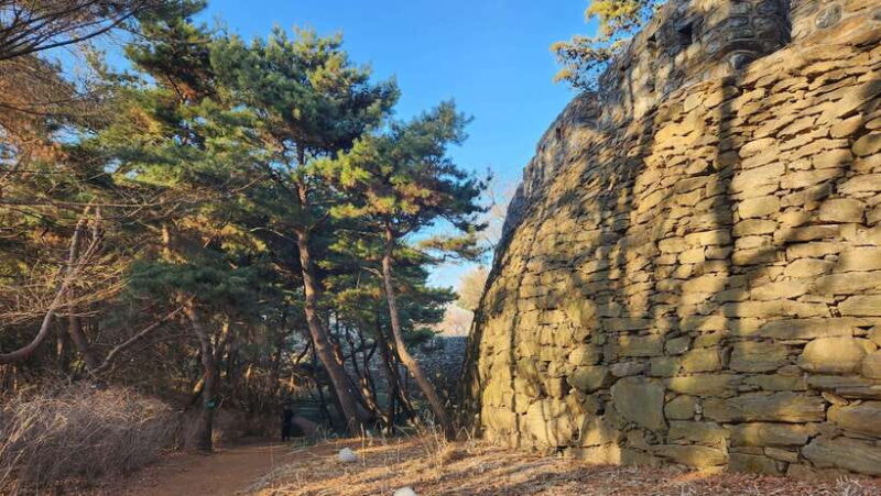 Seoul: Services of a Local for a Day (Paperwork/Tour/Fun) - Key Points