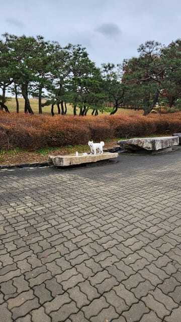 Seoul: Services of a Local for a Day (Paperwork/Tour/Fun) - The Sum Up: Who Is This Tour Best For?