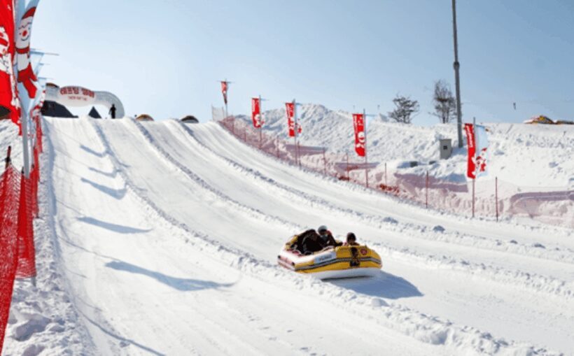 Seoul: SnowyLand in Vivaldi Park with Nami or Alpaca - Key Points