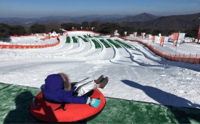 Seoul: SnowyLand in Vivaldi Park with Nami or Alpaca - Snowy Land in Vivaldi Park: Slopes and Snow Play