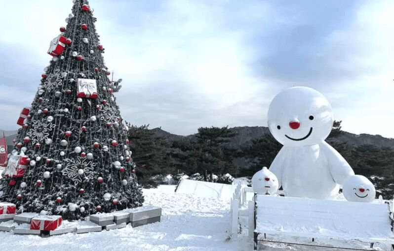 Seoul: SnowyLand in Vivaldi Park with Nami or Alpaca - The Optional Visits: Nami Island or Alpaca World