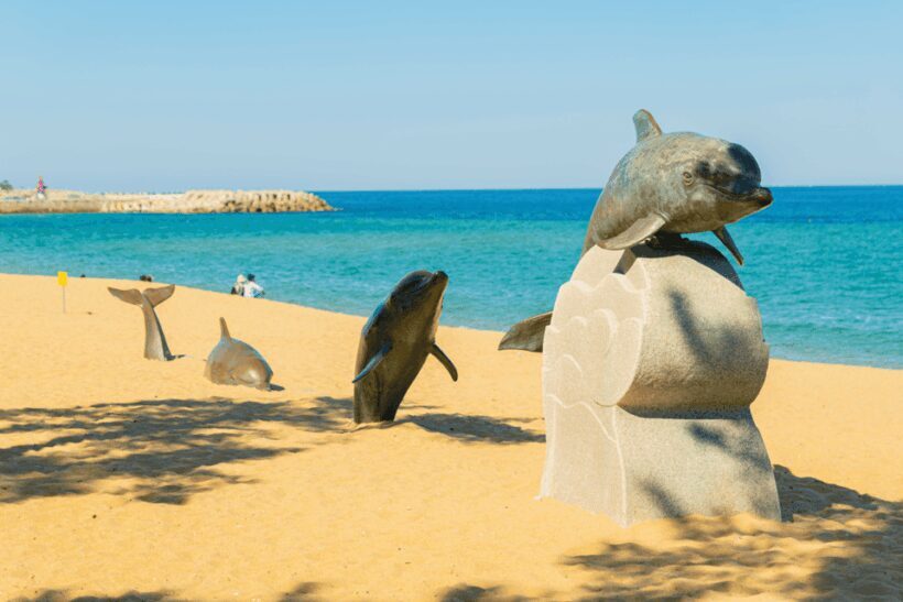 Seoul: Sokcho beach, market, hot spring and Seorak Cable Car - Final Thoughts