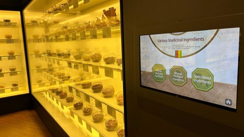 Seoul: Temple Vegan Cooking Class & Oriental Medicine Tour - Key Points