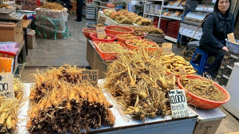 Seoul: Temple Vegan Cooking Class & Oriental Medicine Tour - FAQ