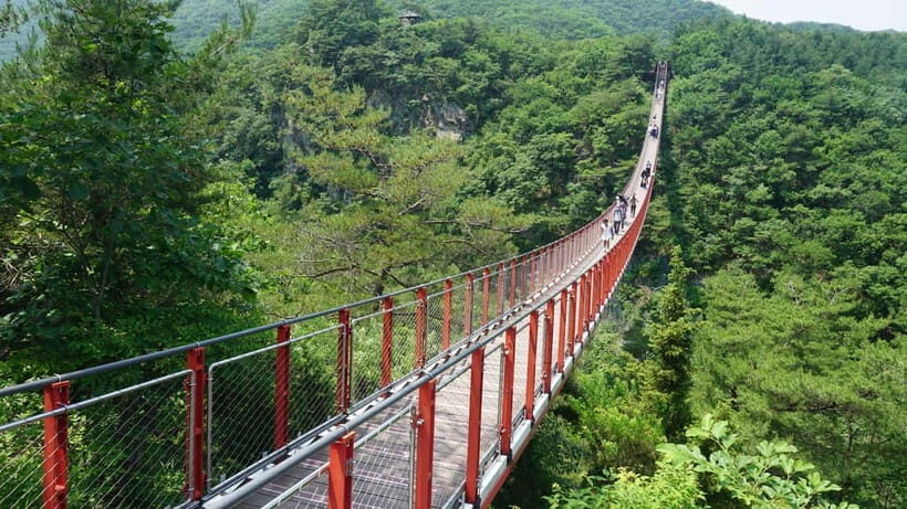 Seoul: The Best DMZ Tour with Optional Suspension Bridge - An In-Depth Look at the DMZ Tour Experience