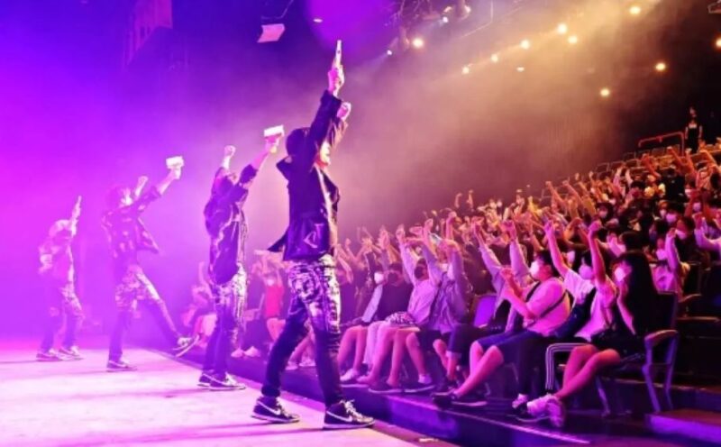 Seoul: The Painter Show with Nami Island or Alpaca World - The Itinerary Breakdown