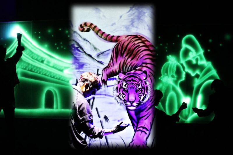 Seoul: The Painter Show with Nami Island or Alpaca World - Whats Included and What to Keep in Mind