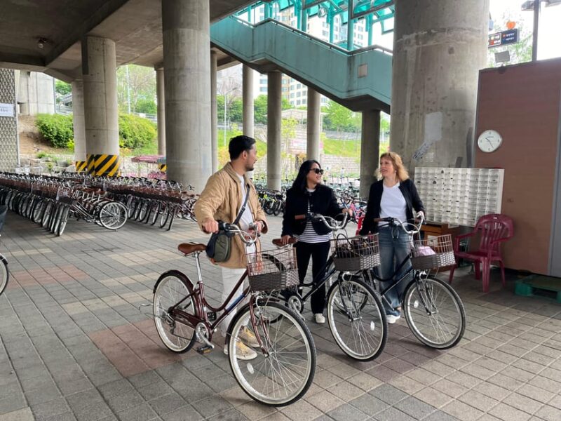 Seoul: Urban Nature Bike Tour along Han River - The Value of This Experience