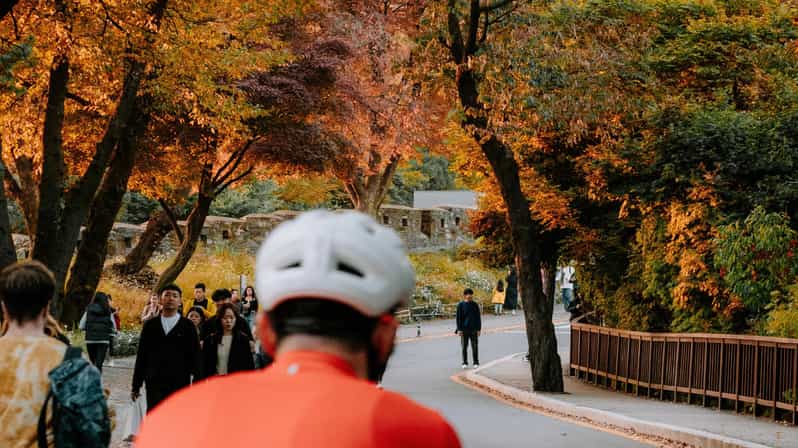 Seoul: Urban Nature Bike Tour along Han River - Who Should Consider This Tour?