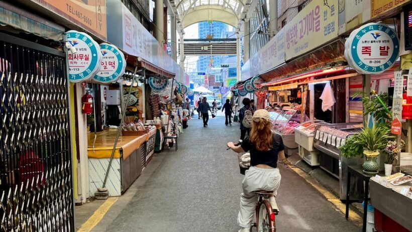 Seoul: Urban Nature Bike Tour along Han River - Pricing and Value