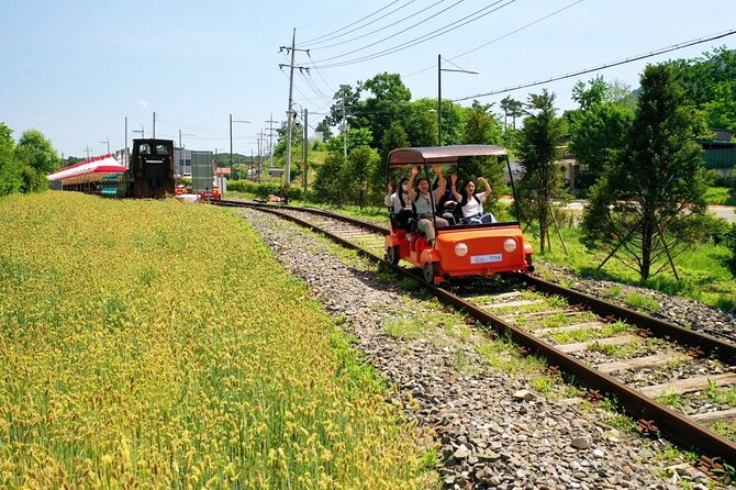 Seoul Vicinity 5 in 1: Nami Island, Garden of Morning Calm & More - Transportation and Group Size