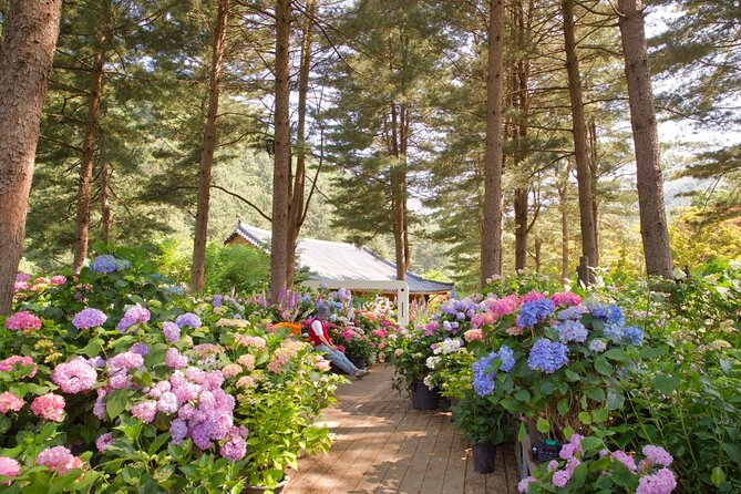 Seoul Vicinity 5 in 1: Nami Island, Garden of Morning Calm & More - Authentic Experiences and Tips