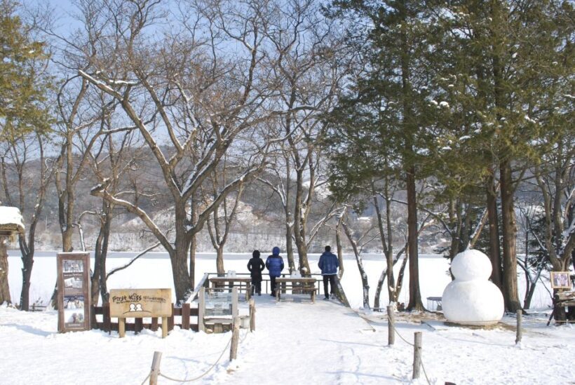 Seoul: Vivaldi Park Winter Ski with Nami Island Day Tour - Key Points