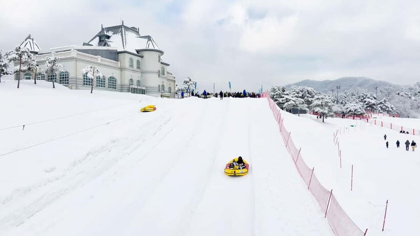 Seoul: Vivaldi Park Winter Ski with Nami Island Day Tour - Who Will Enjoy This Tour?