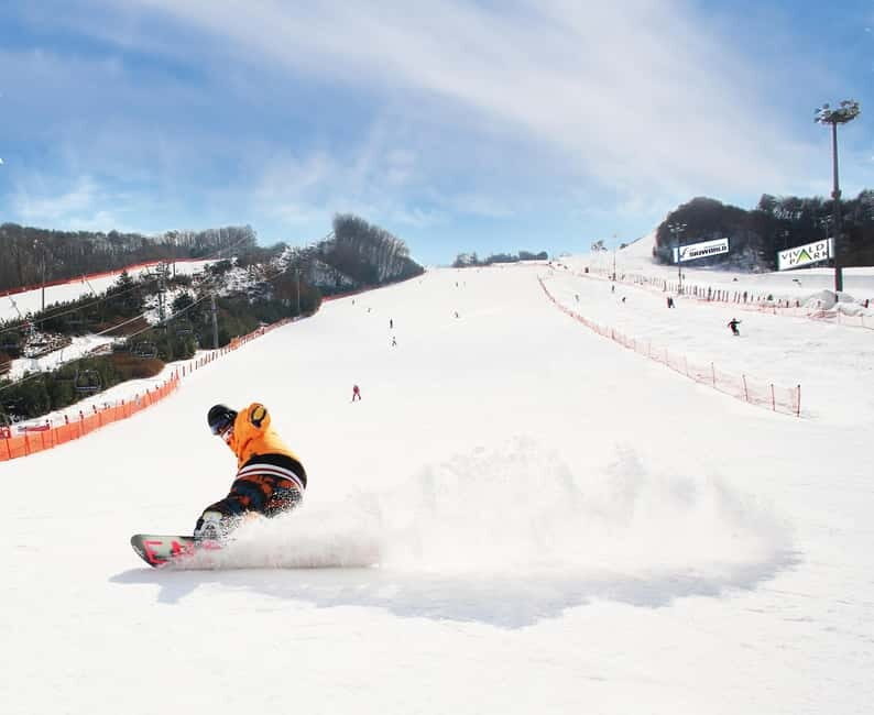 Seoul: Vivaldi Park Winter Ski with Nami Island Day Tour - Final Thoughts