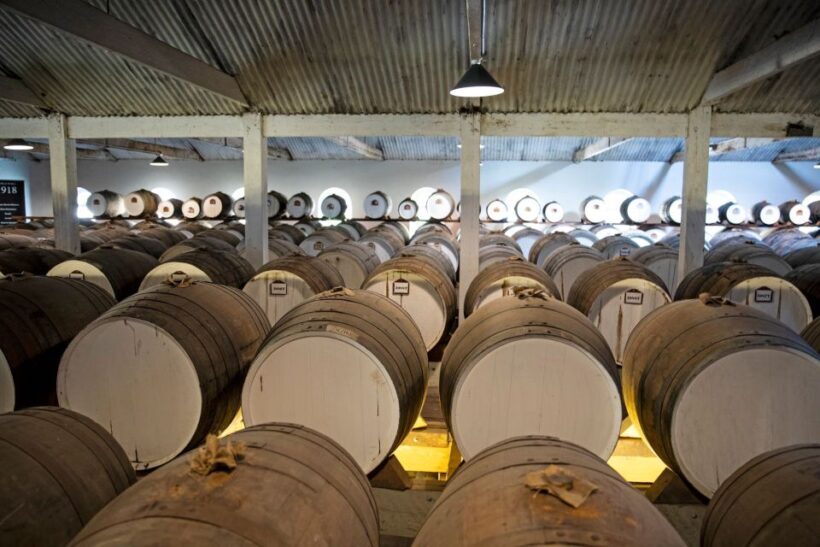 Seppeltsfield Winery: Tour and 100-Year-Old Wine Tasting - An In-Depth Look at the Seppeltsfield Tour and Tasting Experience