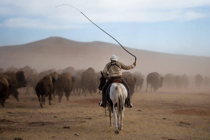 Sept 26 Only - 2025 Custer State Park Buffalo Roundup - Public - An In-Depth Look at the Custer State Park Buffalo Roundup Tour